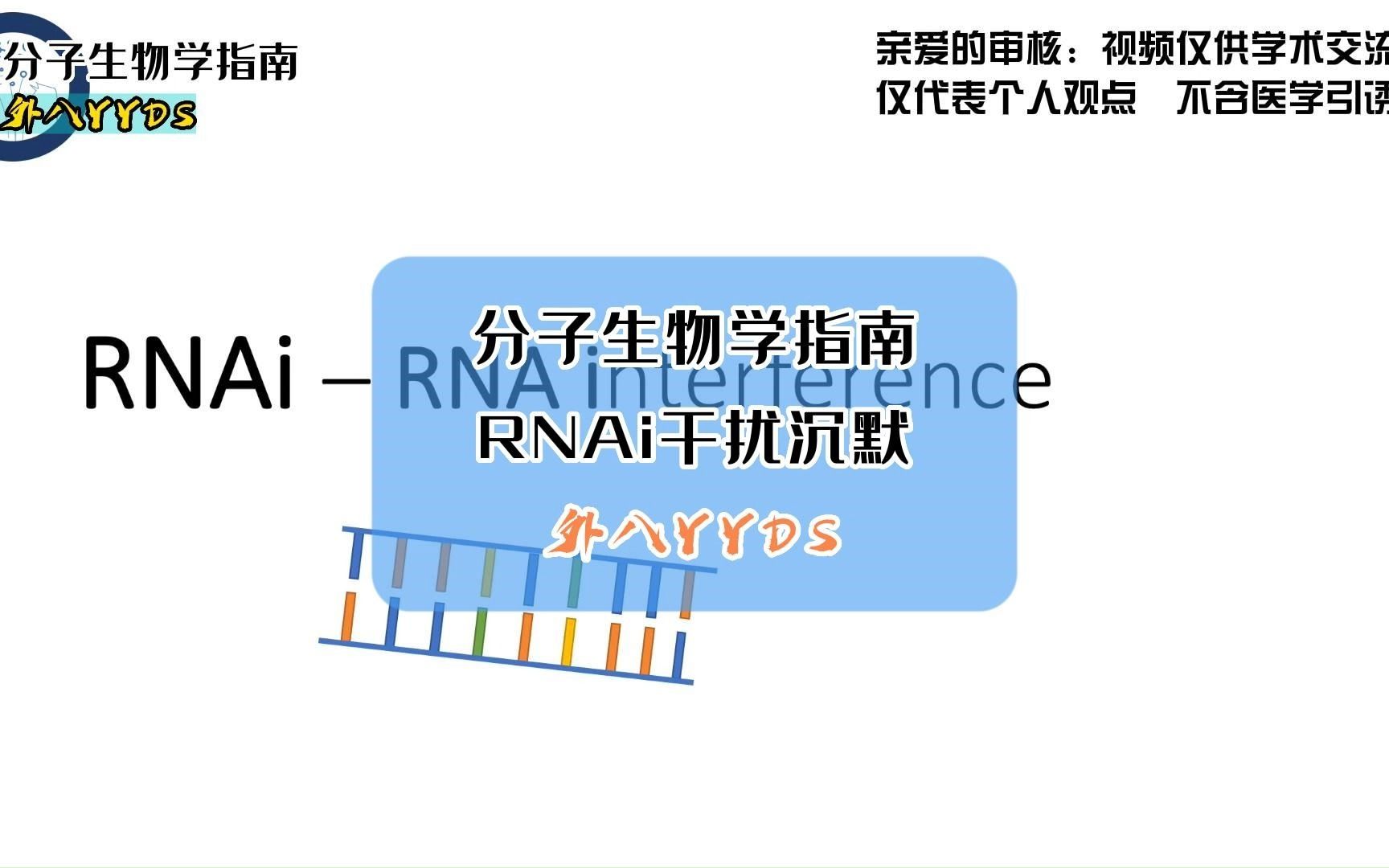【分子生物学指南】RNAi干扰原理