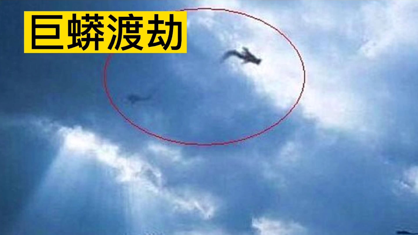 95年安徽巨蟒渡劫事件