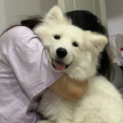_绝世小透明 
