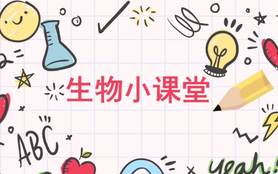 【生物小课堂】关于爬行动物的小知识