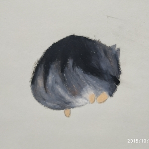 巫醫小道 