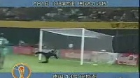 2002 世界杯精彩进球