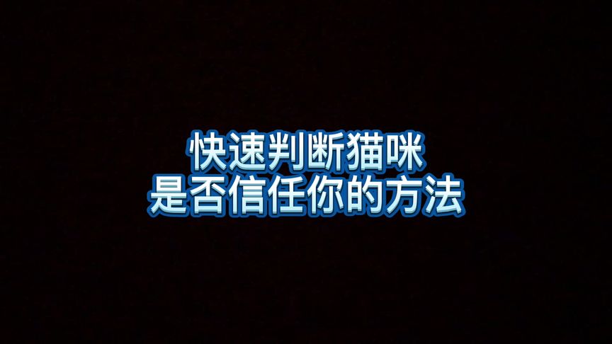 快速判断猫咪是否信任你的方法