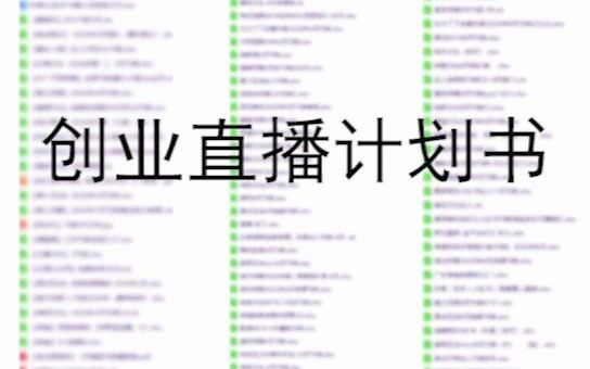 抖音直播电商带货创业自媒体商业IP内容打造孵化计划书ppt模板