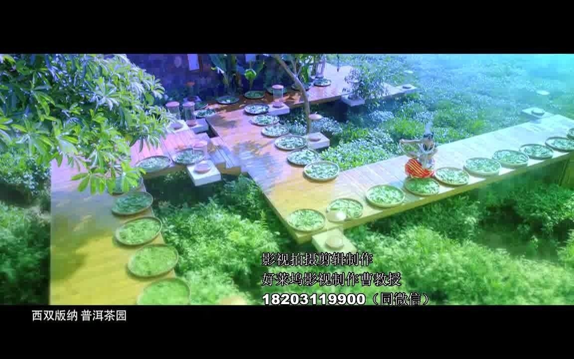 云南旅游宣传片、旅发大会宣传片、文旅宣传片、景区宣传片、景点...