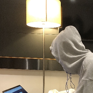 soymilk艺术家 