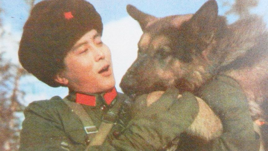 老片:白桦林中的哨所,怀孕的军犬双双不记前嫌,从雪中刨出陆星