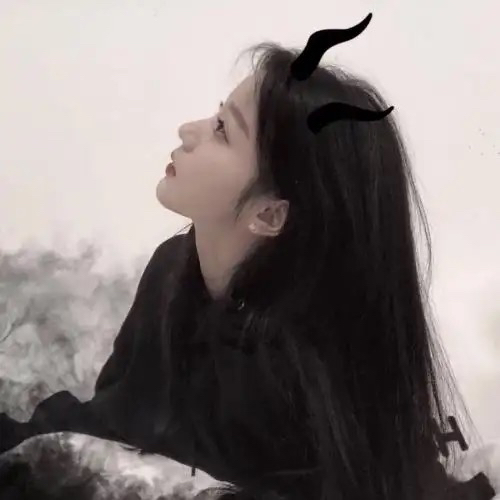 大刺猬阿丶 