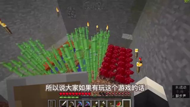 我的世界边界生存:无法破坏方块该