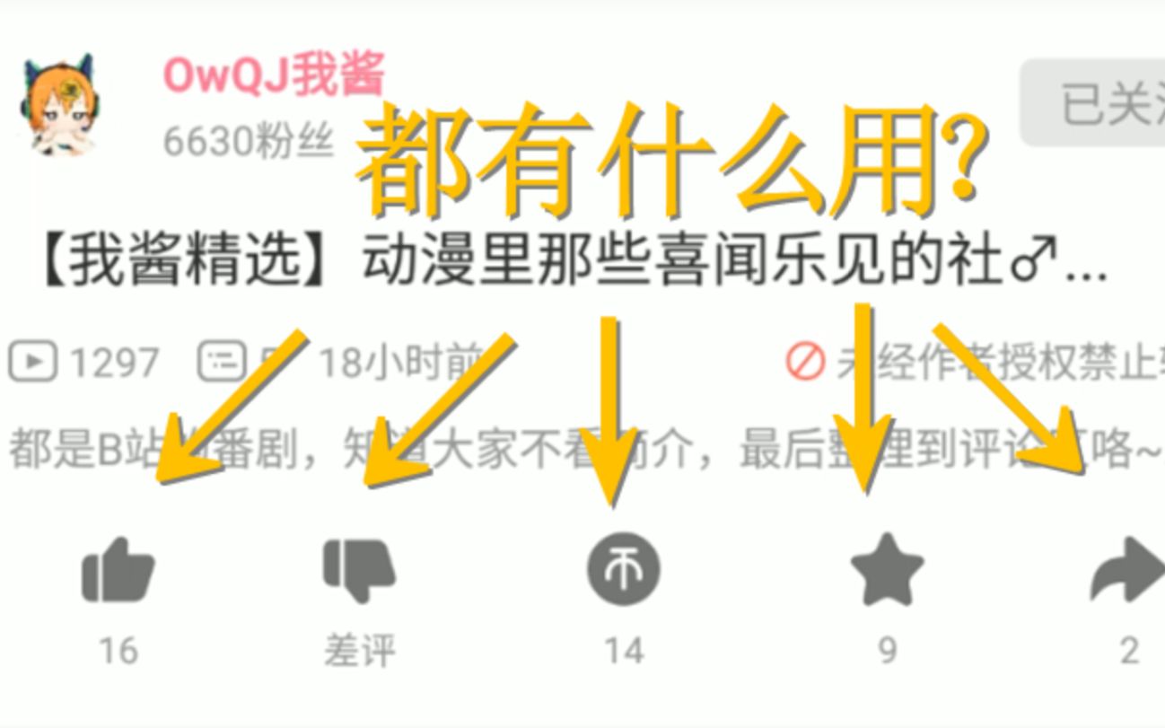为什么B站下面这么多“花里胡哨”?推荐硬币收藏究竟有什么用?