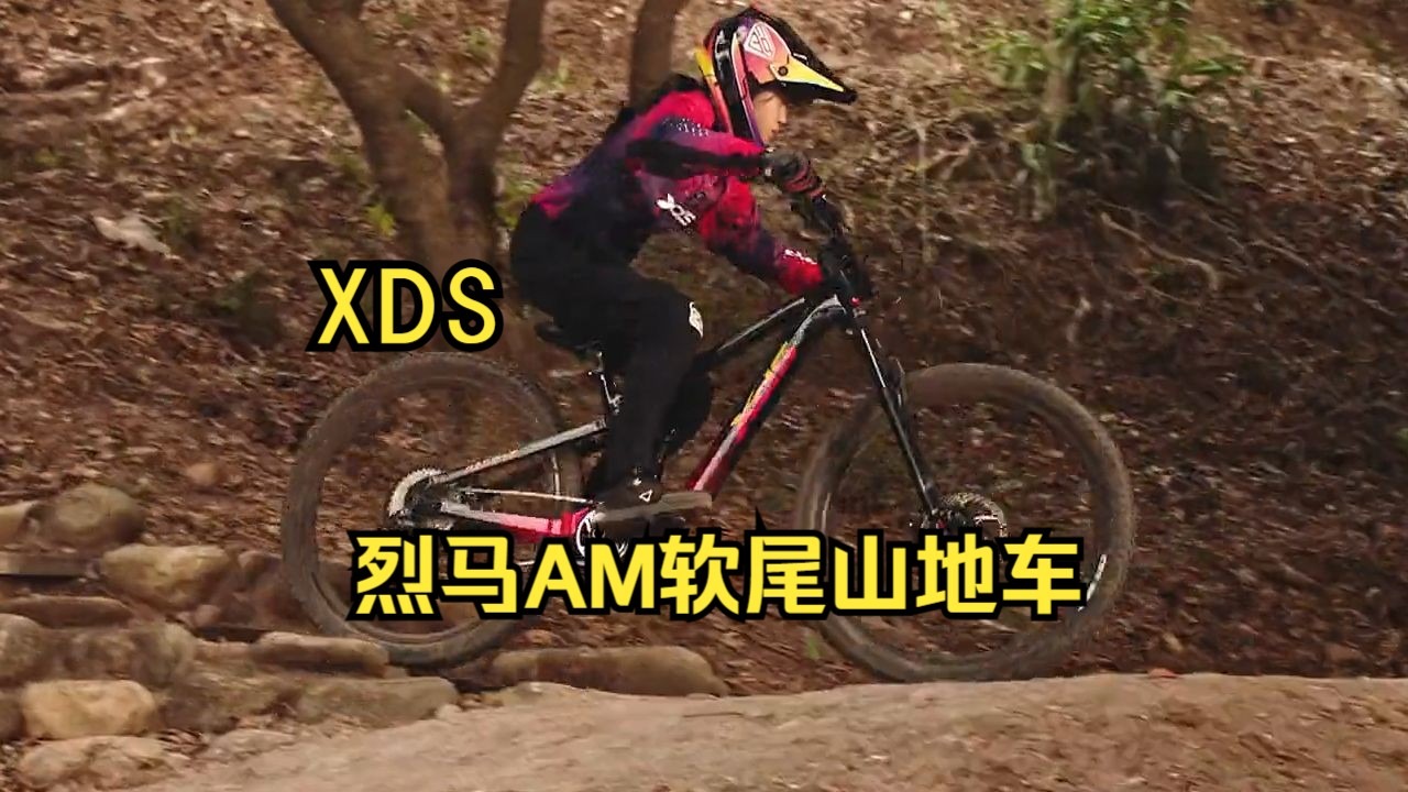 喜德盛山地自行车2025-烈马四连杆结构悬挂前后避震器油碟刹软尾...