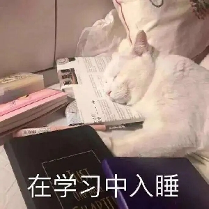 柚贝壳今天学习了吗 