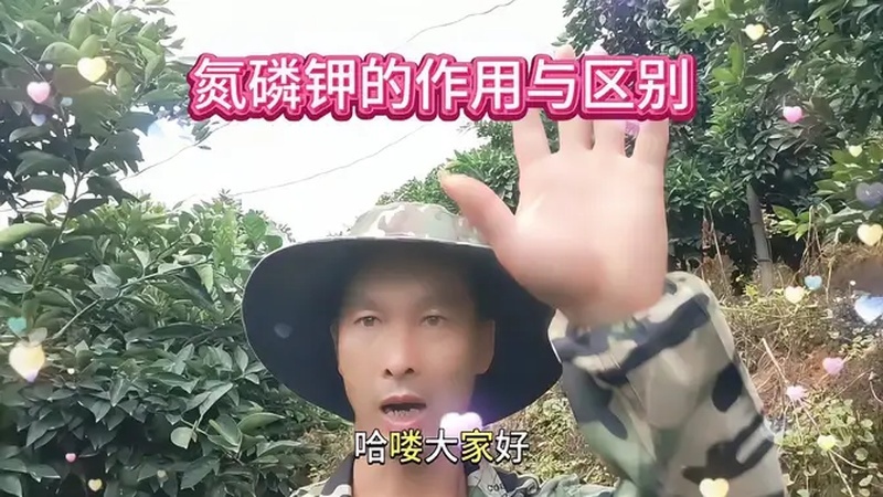 植物必须要用氮磷钾