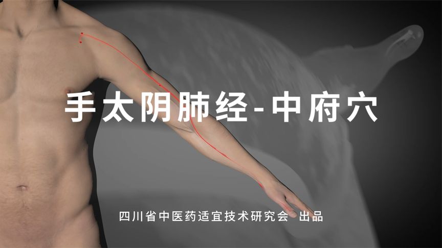 398个穴位,你都知道吗?手太阴肺经-中府穴