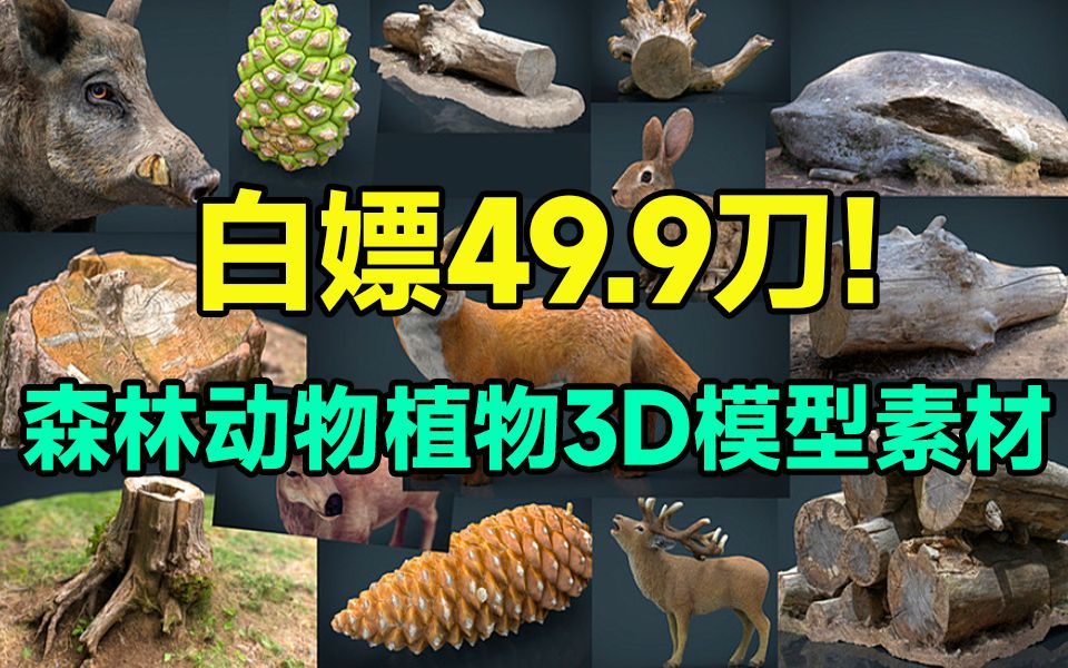 白嫖49.9刀!森林动植物3D模型合集,八种格式 含狐狸兔子枯树松子鹿...