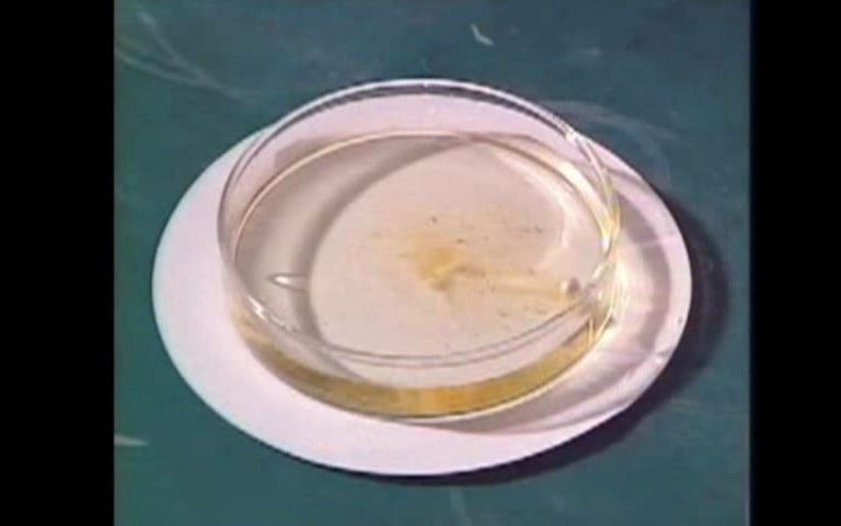 高中化学实验 金属钠与氯化铁溶液的反应