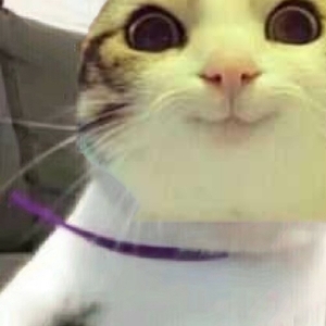 杂牌游戏视频作者 