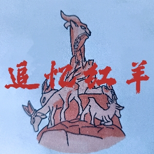 追忆红羊 