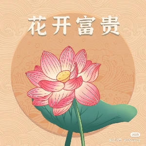 蒙奇D小杜 