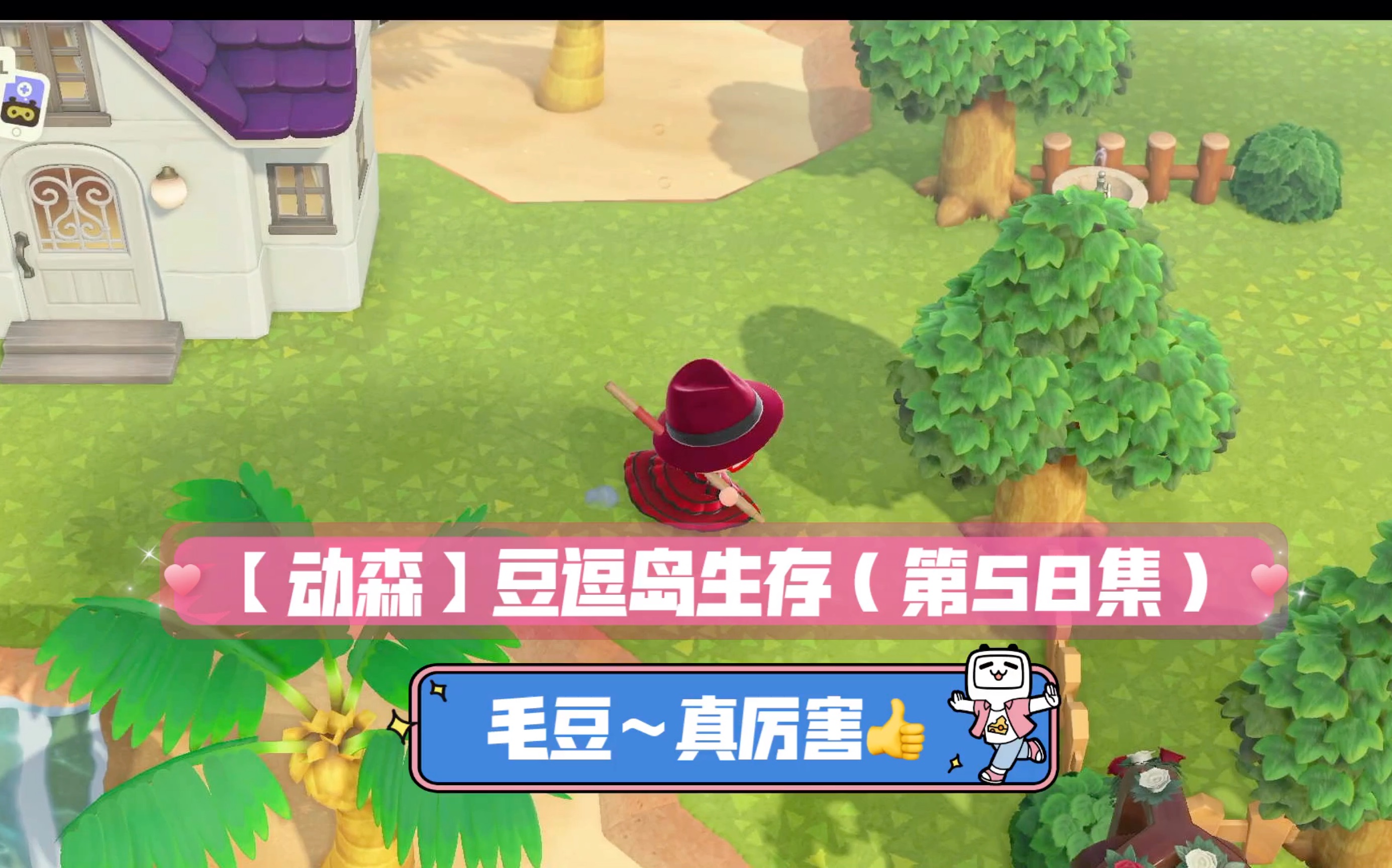 【动森】豆逗岛生存(第58集)毛豆～真厉害