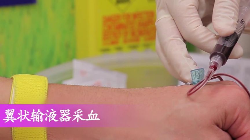 翼状输液器采血近距离操作示范