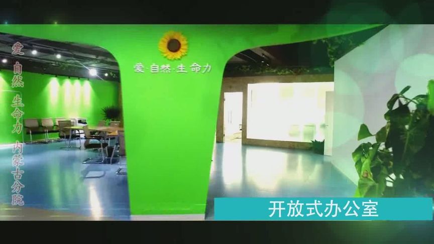 爱自然生命力体系家庭教育学校