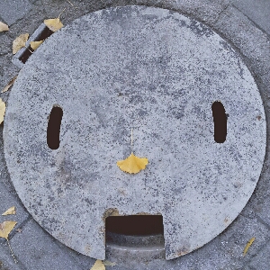 鱼止 