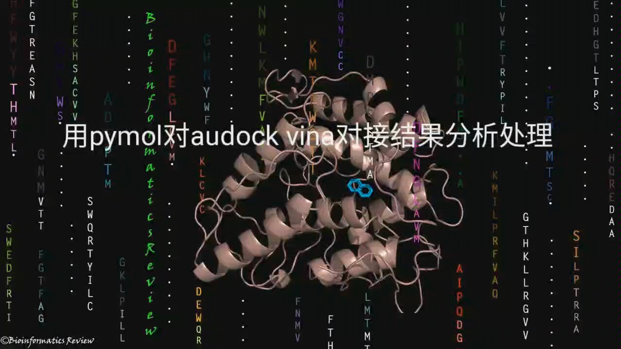 应用pymol查看autodock vina对接结果(安利大家上网搜bioinformatics ...