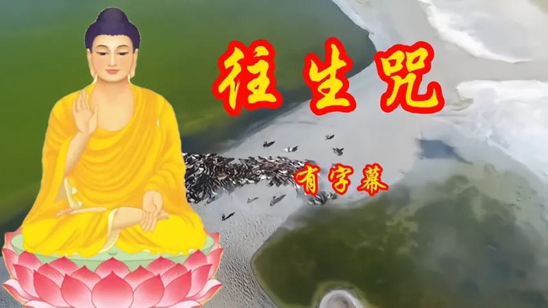有字幕,特别好听《往生咒》,好听到炸裂!