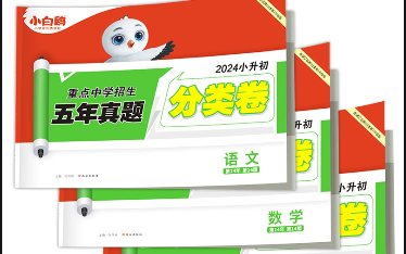 【小升初数学】2024版小白欧数学红皮真题卷+绿皮分类卷,重点学校...
