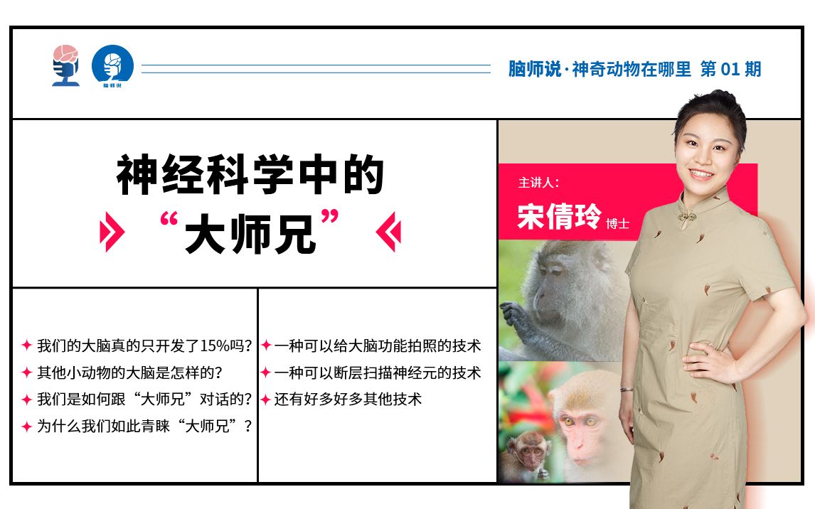 脑师说:神奇动物在哪里 第1期|非人类灵长类动物神经科学研究技术