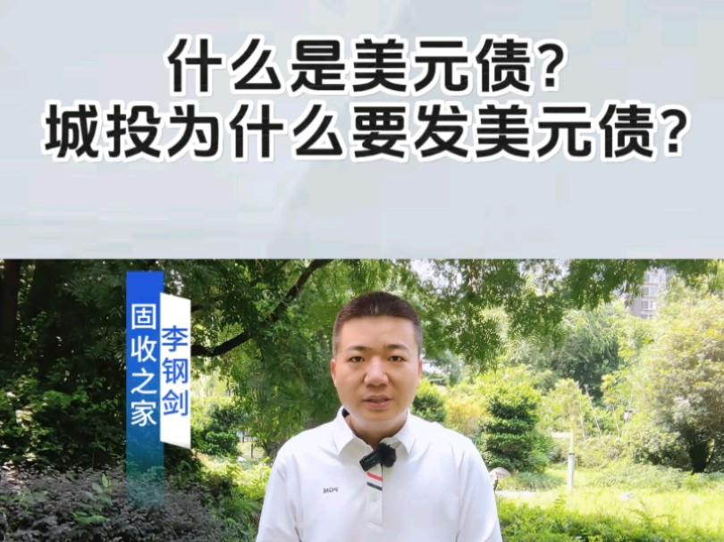 什么是美元债?城投为什么要发美元债?#美元债#城投美元债#城投债