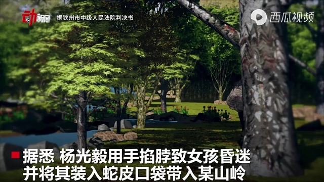 “百香果女孩案”被告改判死刑 90秒回顾案件始末
