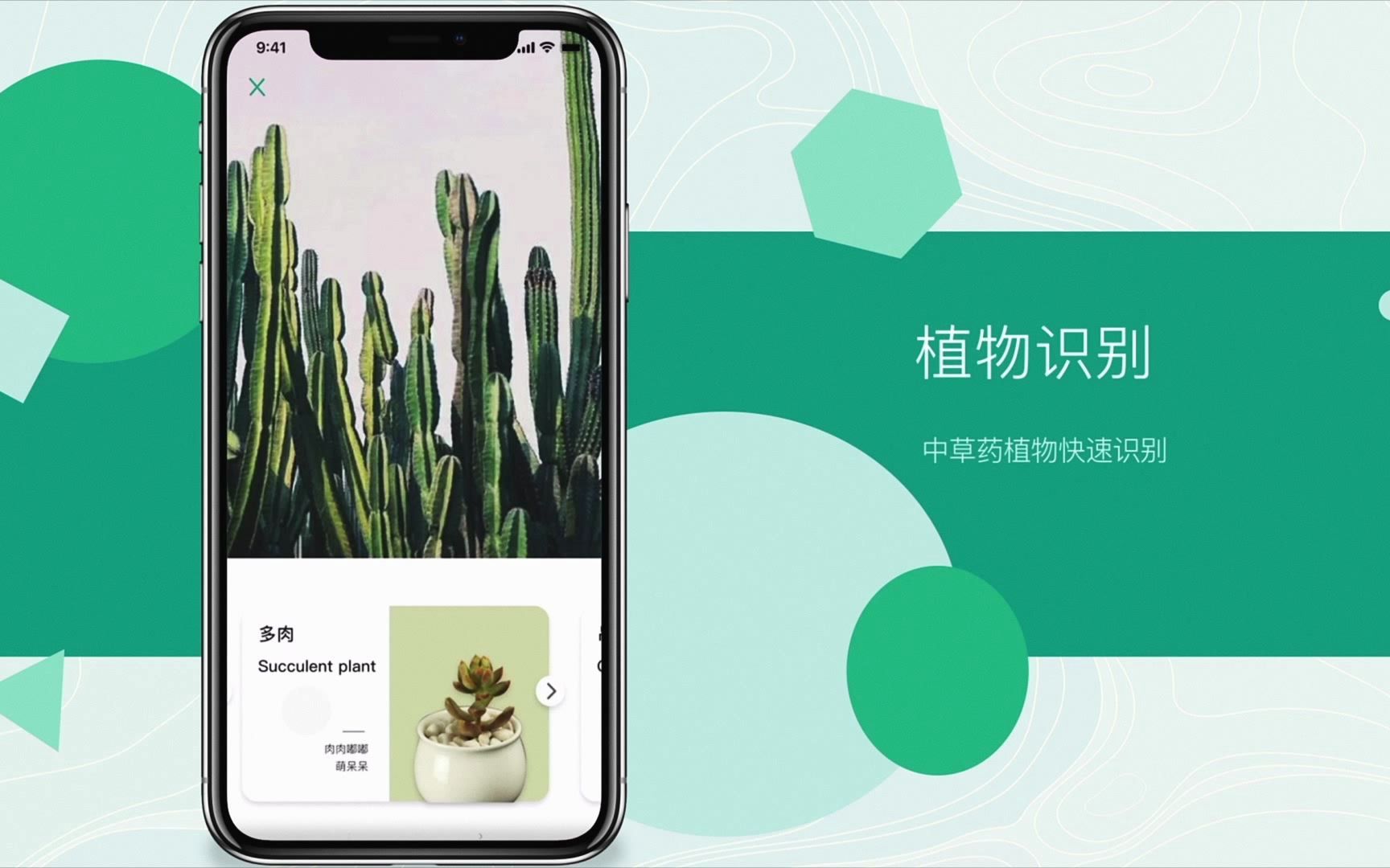 毕设展览植物app交互动效iphone x 11手机界面设计展示动画ae视频制作
