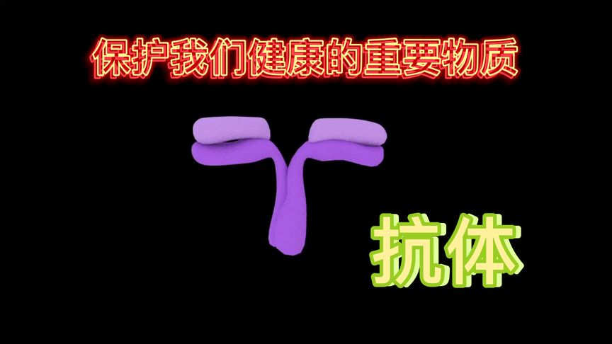 35.保护我们身体健康的重要物质—抗体