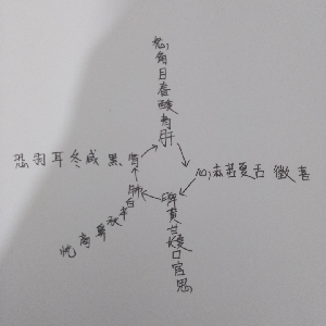 汉唐书医学 