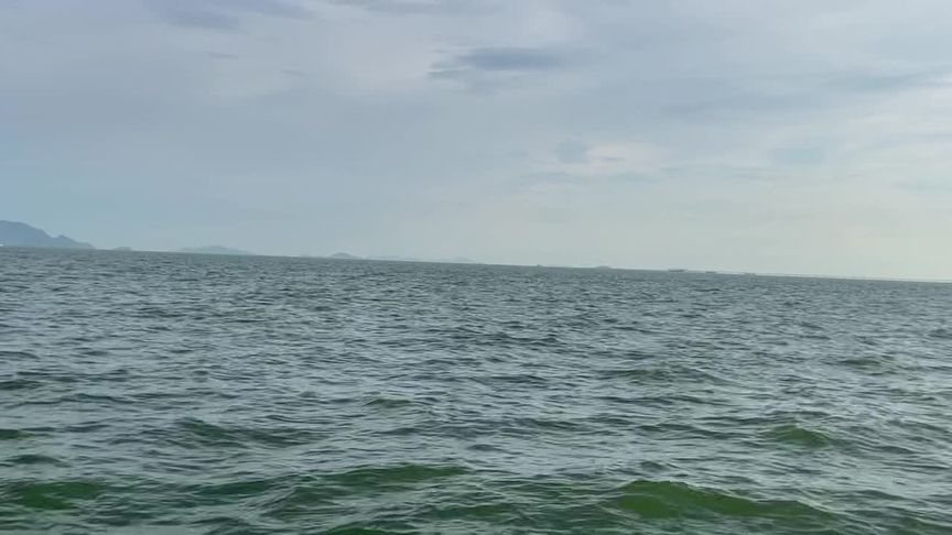 广州澳大桥