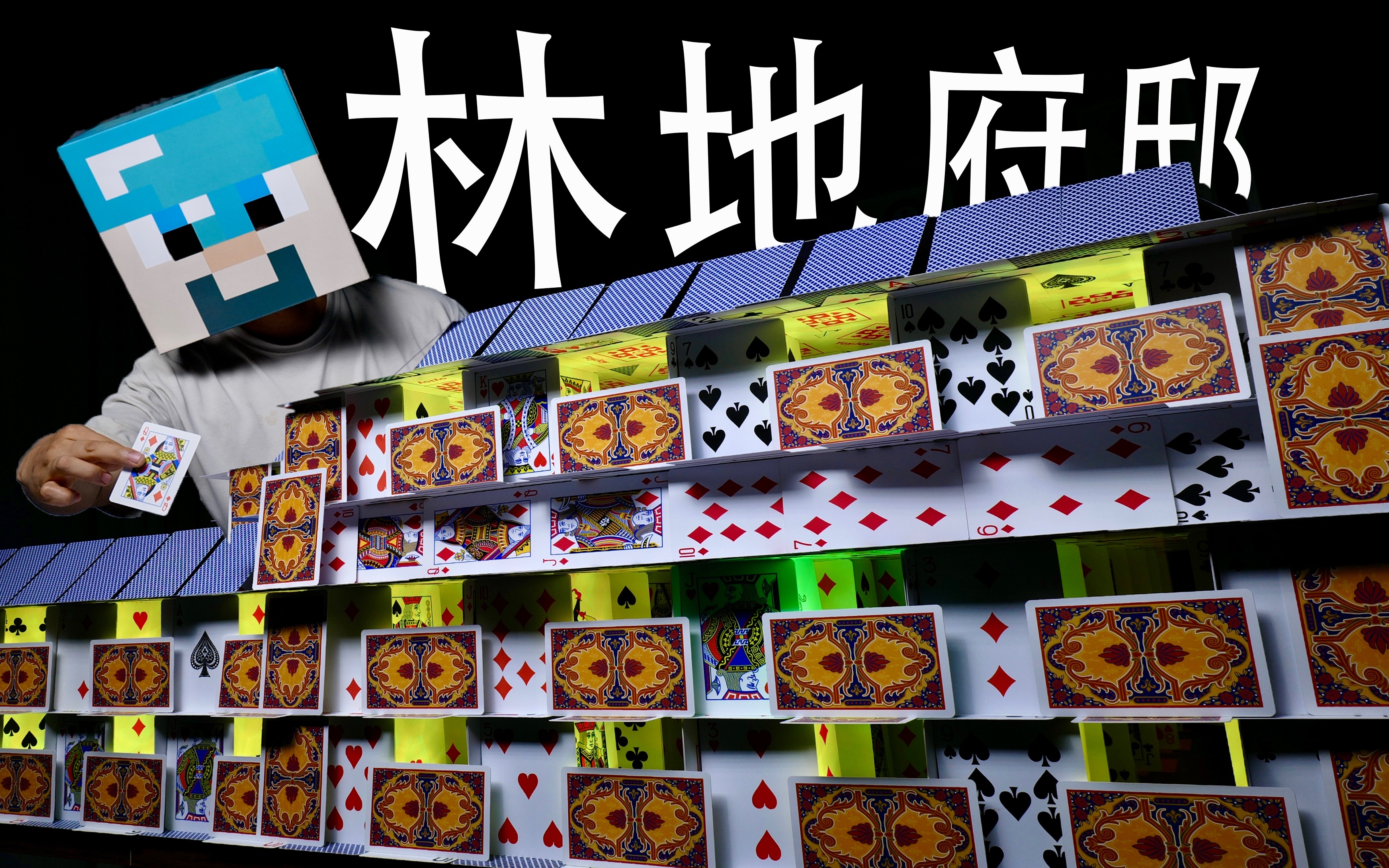 为粉丝发疯!我的世界现实版