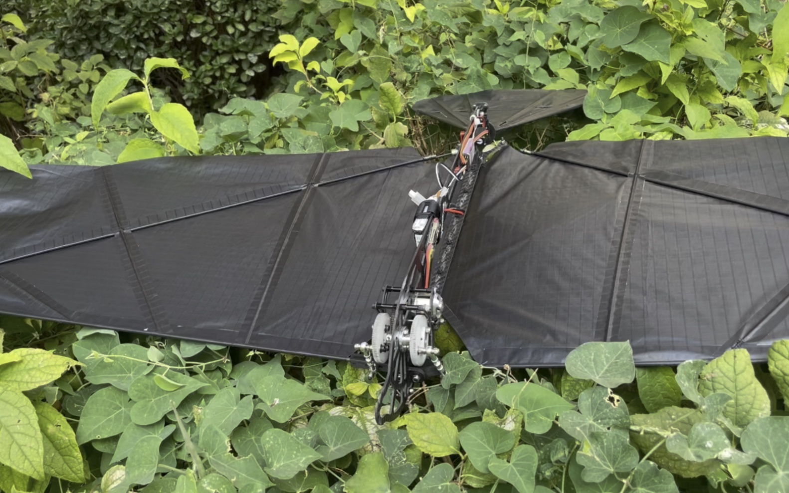 扑翼飞行器第十三集:终篇调试与飞行,状态完美,反复测试,可靠性高高的