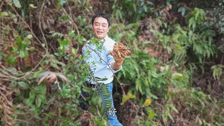 带刺的金刚藤年份越老越贵,一般是卖给那些有钱人,煲汤很美味