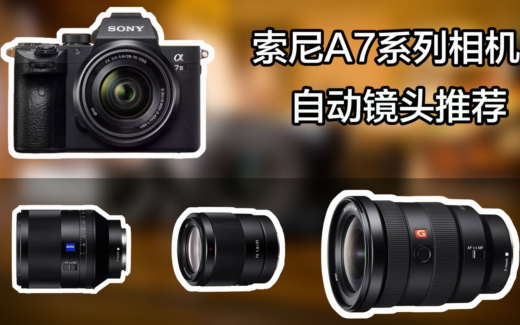 【导演曾de数码世界】高性价比索尼全幅微单镜头推荐与短评