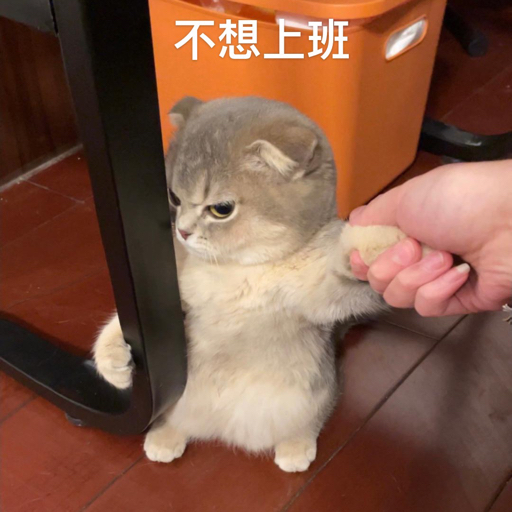 -再吃一口- 