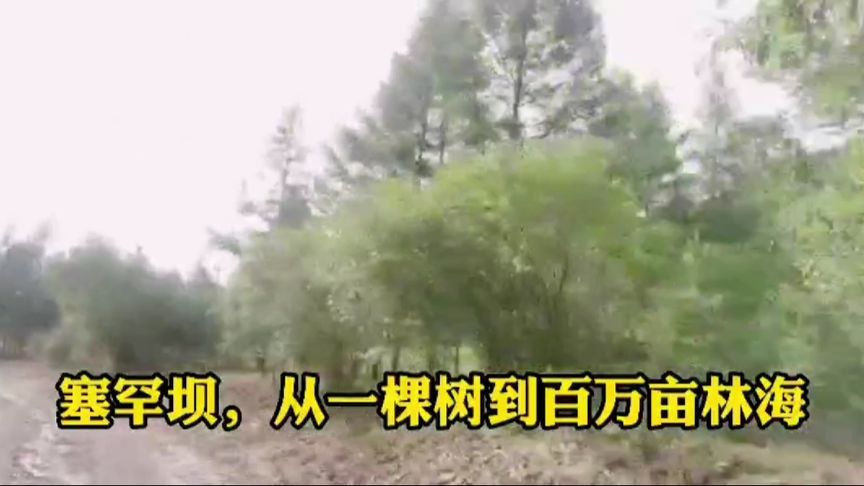 什么是塞罕坝精神