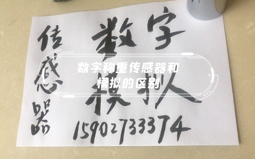 数字称重传感器和模拟的区别 上海耀华称重系统有限公司XK3190-A12...