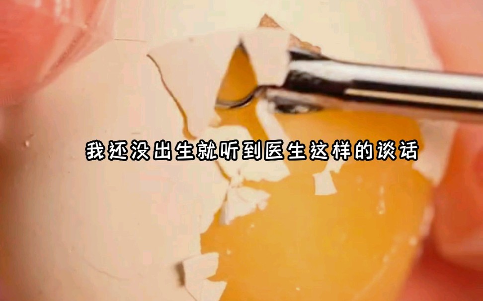 奶宝不得了【重生+团宠+马甲+甜宠爽文】
