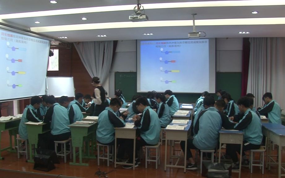 DNA分子的结构