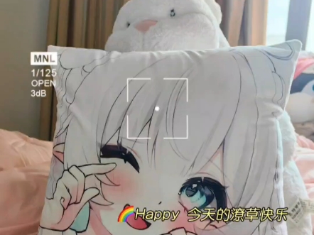 舰长抱枕出炉啦!
