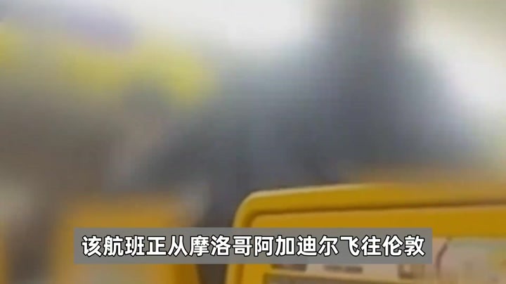 一航班9名乘客在9000米高空斗殴:因换座问题起争执,飞机紧急迫降