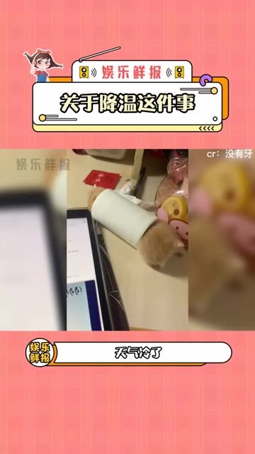 仓鼠降温这件衣服感觉不太合适哈哈哈哈哈捕娱计划