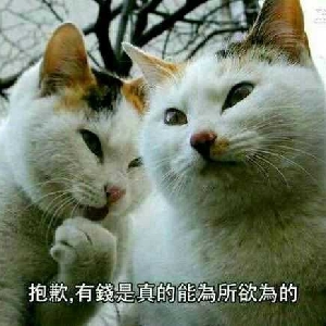 隆咚 
